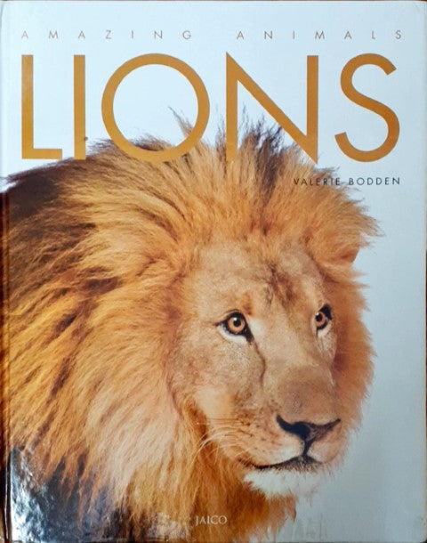 Amazing Animals - Lions – Books and You