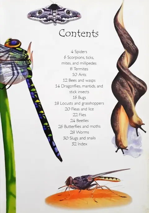 Questions And Answers Creepy Crawlies – Books and You