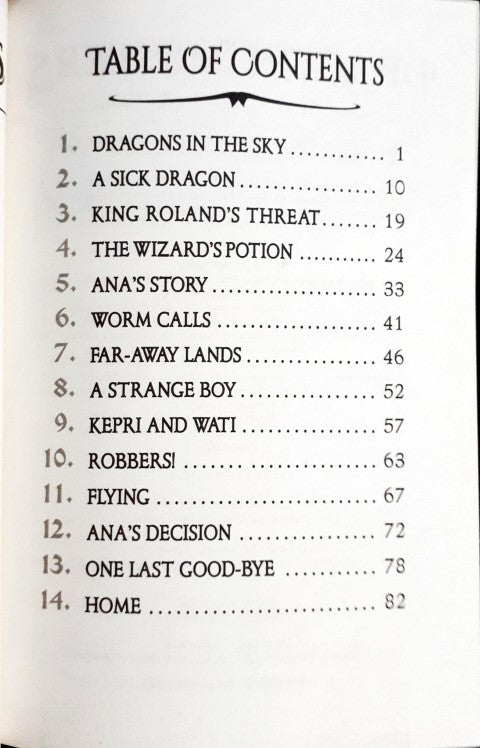 Dragon Masters 2 Saving The Sun Dragon – Books and You