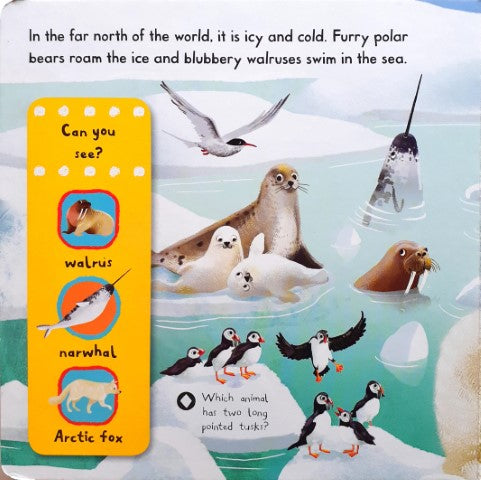 First Explorers : Snowy Animals – Books and You