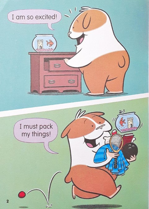 Acorn Hello Hedgehog Let's Have A Sleepover – Books and You