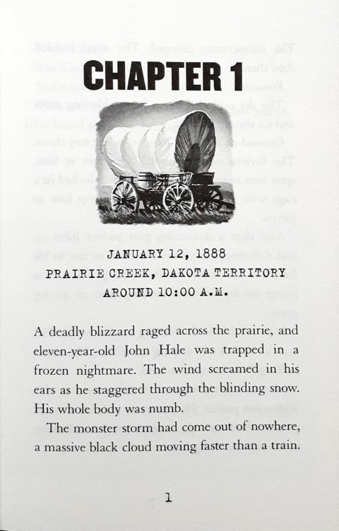 I Survived The Children's Blizzard 1888 – Books and You