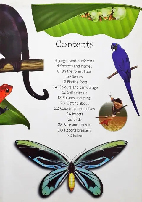 Questions And Answers Jungle Animals – Books and You