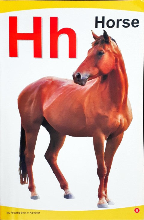 My First Big Book Of Alphabet – Books and You