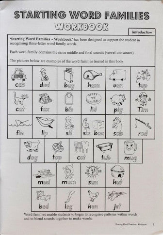Novel Educational Starting Word Families Workbook – Books and You