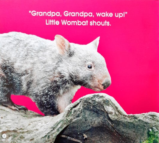Read Along Stories Grandpa Wombat's Snore – Books and You