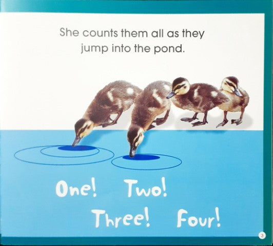 Read Along Stories Mother Duck's Family – Books and You