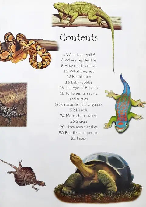 Questions And Answers Reptiles – Books and You