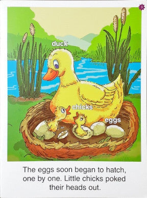 The Ugly Duckling - Fairy Tales For Early Readers – Books and You