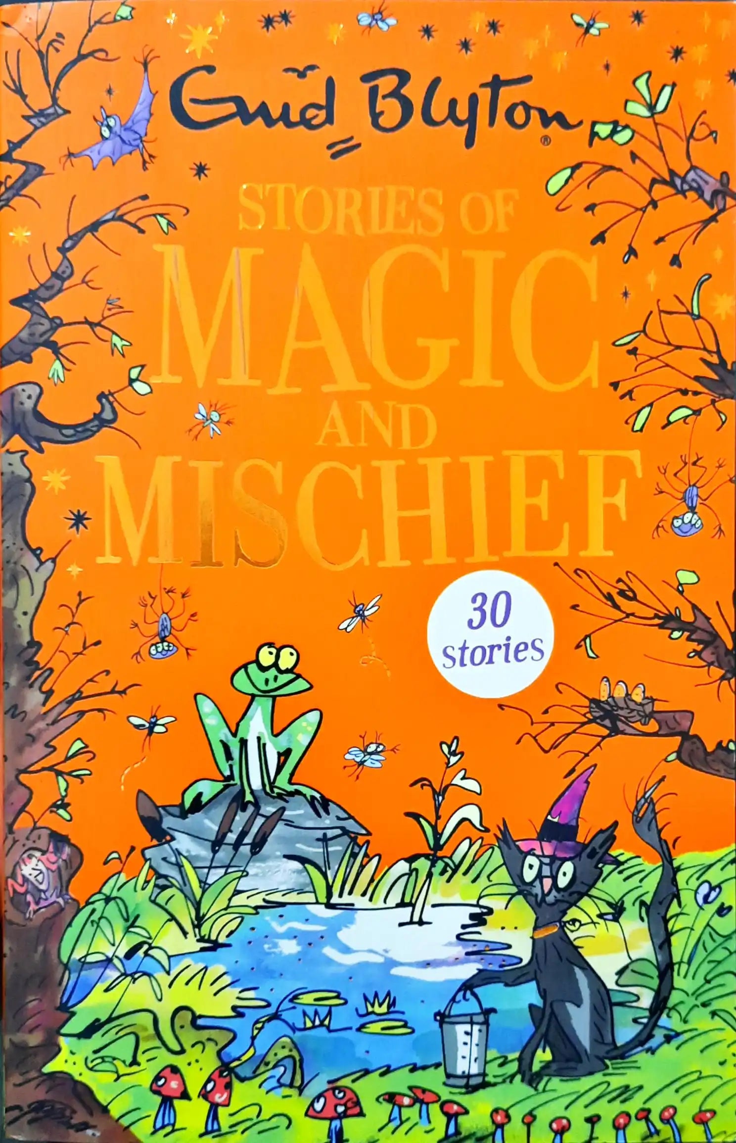 Stories of Magic and Mischief : 30 Stories – Books and You