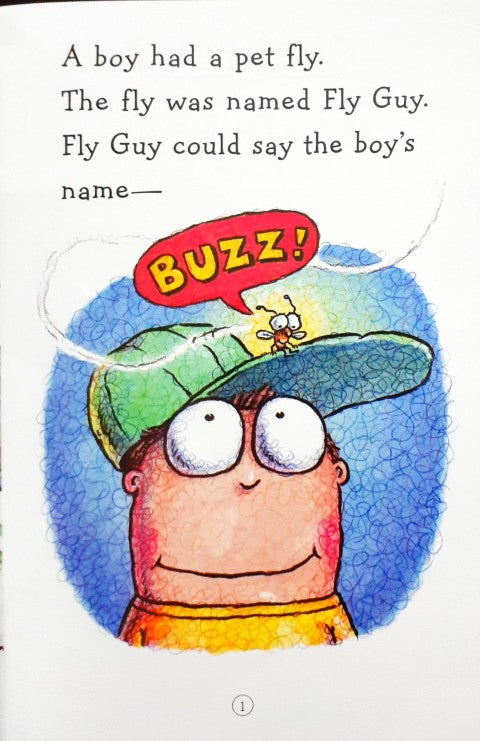 Super Fly Guy – Books and You