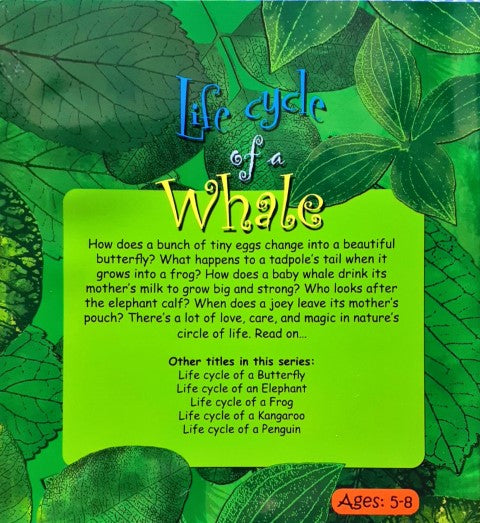 Circle of Life: Life Cycle of a Whale – Books and You