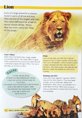 Top Ten Wild Animals - Facts & More – Books and You