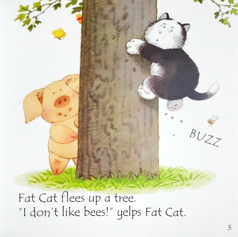 Fat Cat on a Mat - Usborne Phonics Readers – Books and You