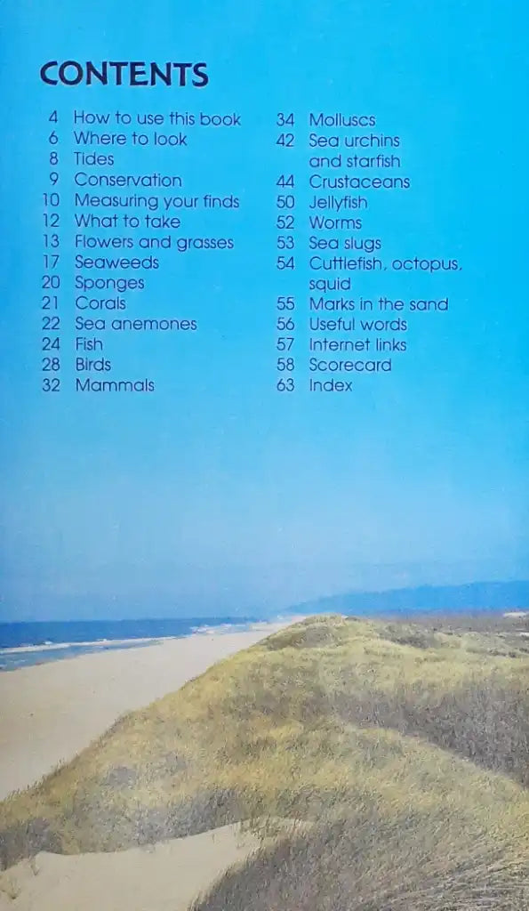 Usborne Spotter's Guides The Seashore – Books and You