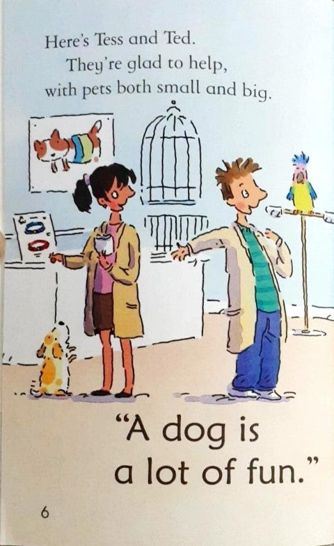 The Perfect Pet - Usborne Very First Reading – Books and You