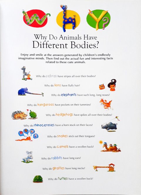 Why do Animals Have Different Bodies? - Questions And Answers For The ...