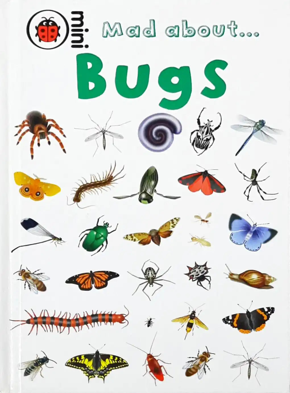 Ladybird Mini : Mad About…Bugs – Books and You