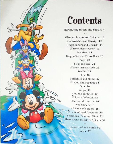 Disney The Wonderful World Of Knowledge Insects And Spiders (P) – Books ...