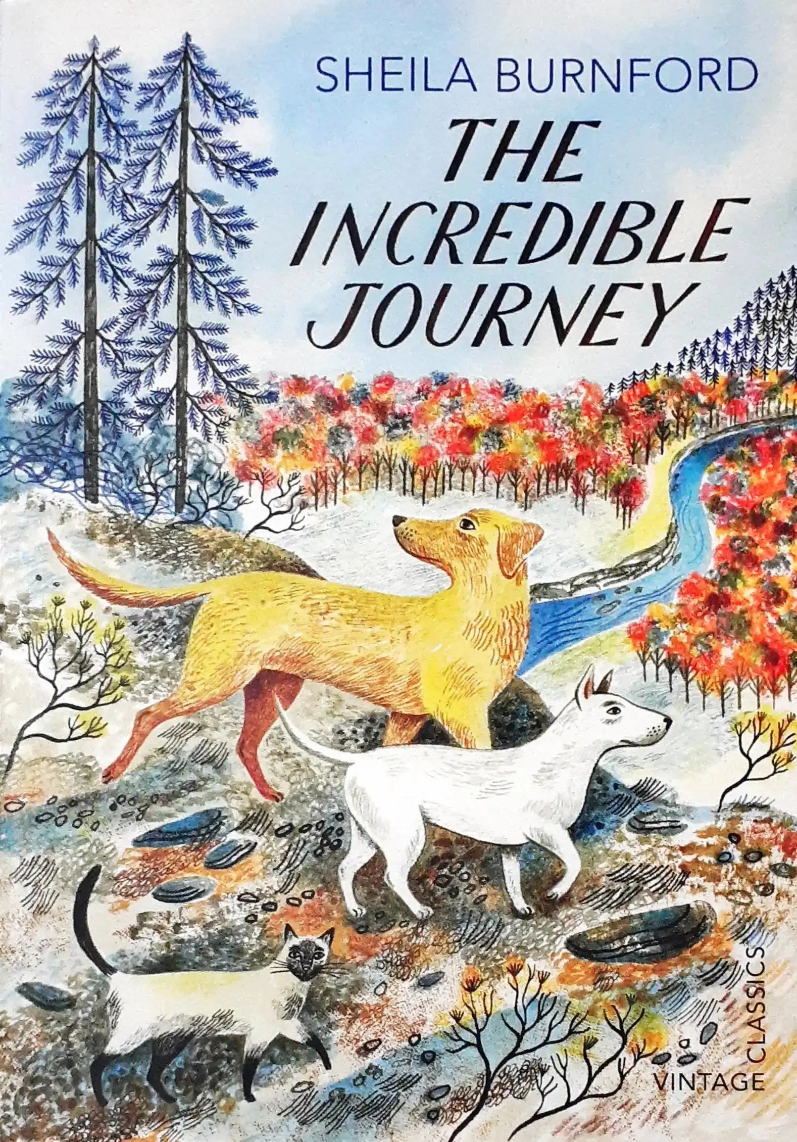 The Incredible Journey – Books and You