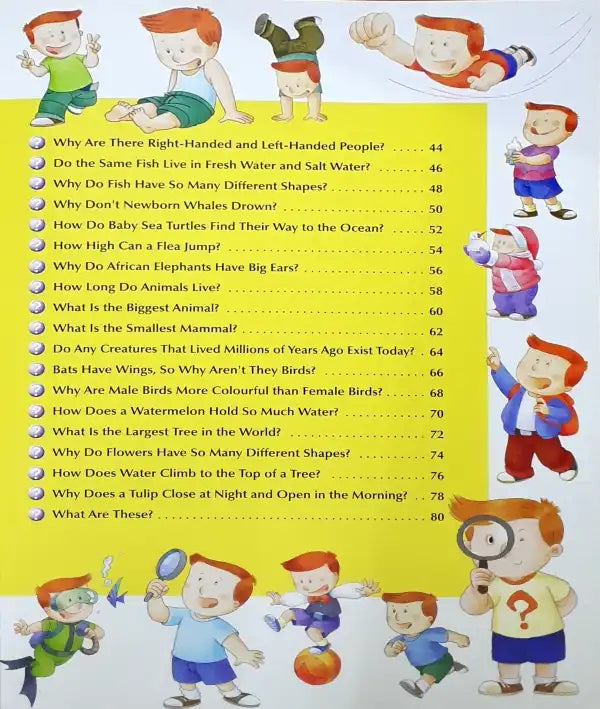 A Child's First Library Of Learning : Amazing Facts (P) – Books and You