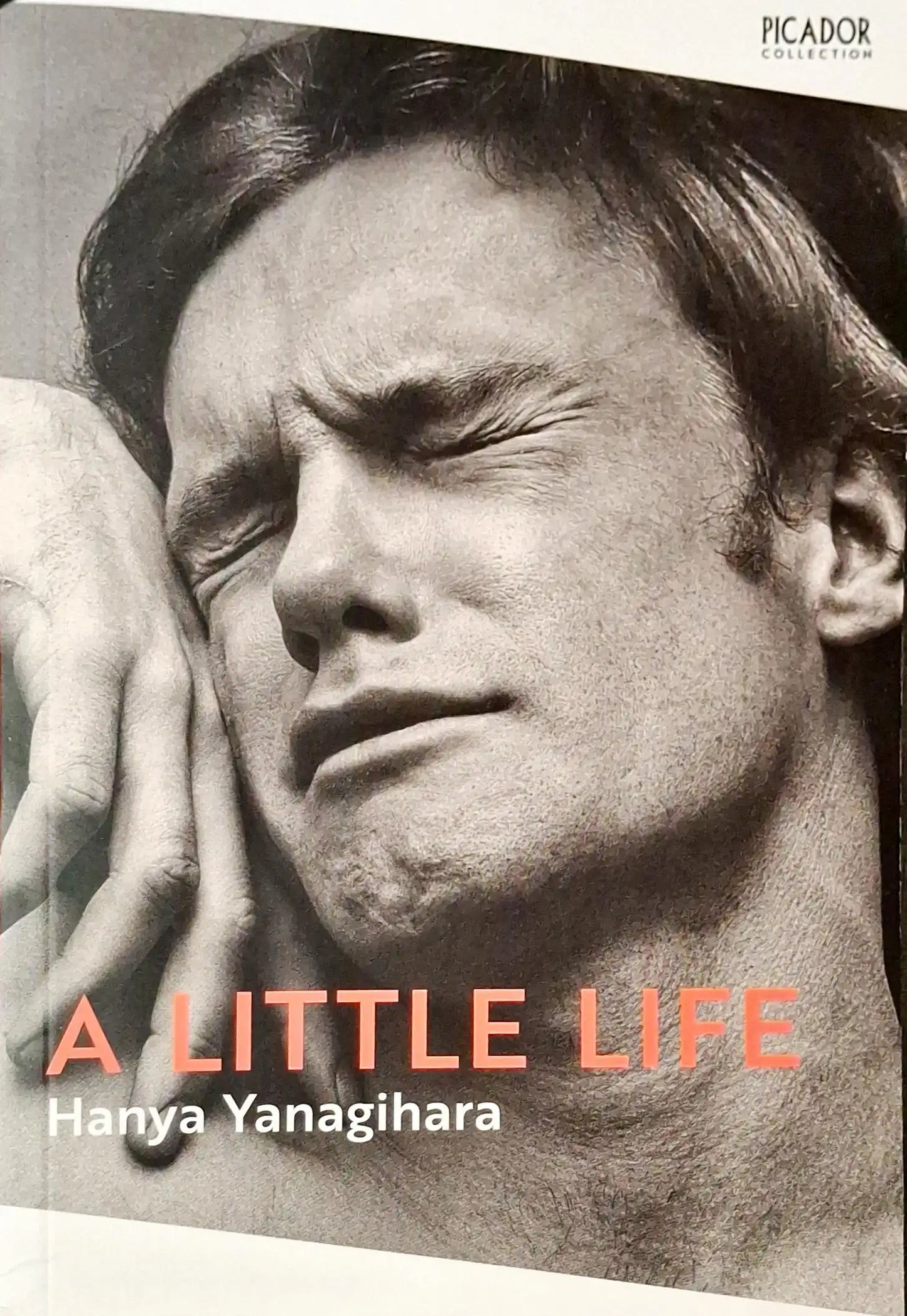A Little Life – Books and You