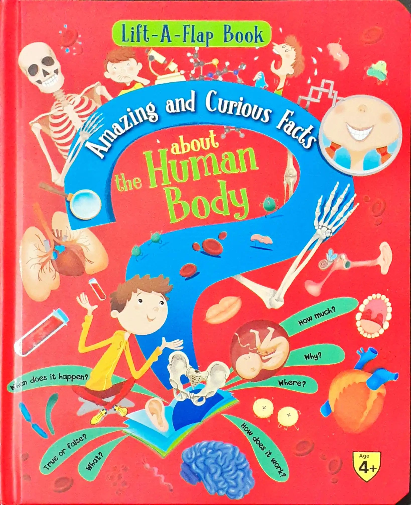 Lift-A-Flap Amazing and Curious Facts about the Human Body – Books and You