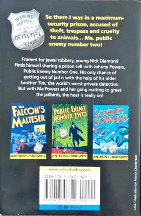 Public Enemy Number Two (Diamond Brothers #2) – Books and You