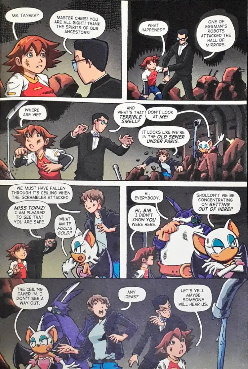 Sonic X : Archie Comics 65th Anniversary Adventure Series No. 9 – Books ...