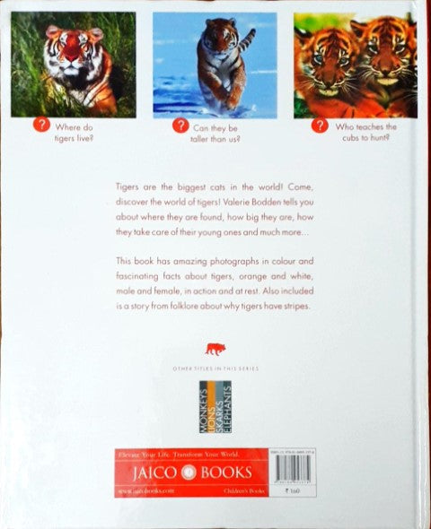 Amazing Animals - Tigers – Books and You