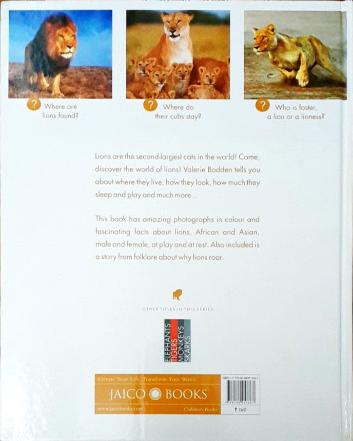 Amazing Animals - Lions – Books and You