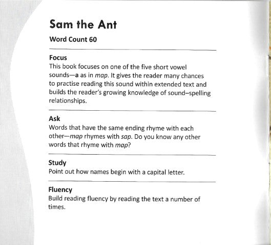 Funny Photo Phonics Sam the Ant – Books and You