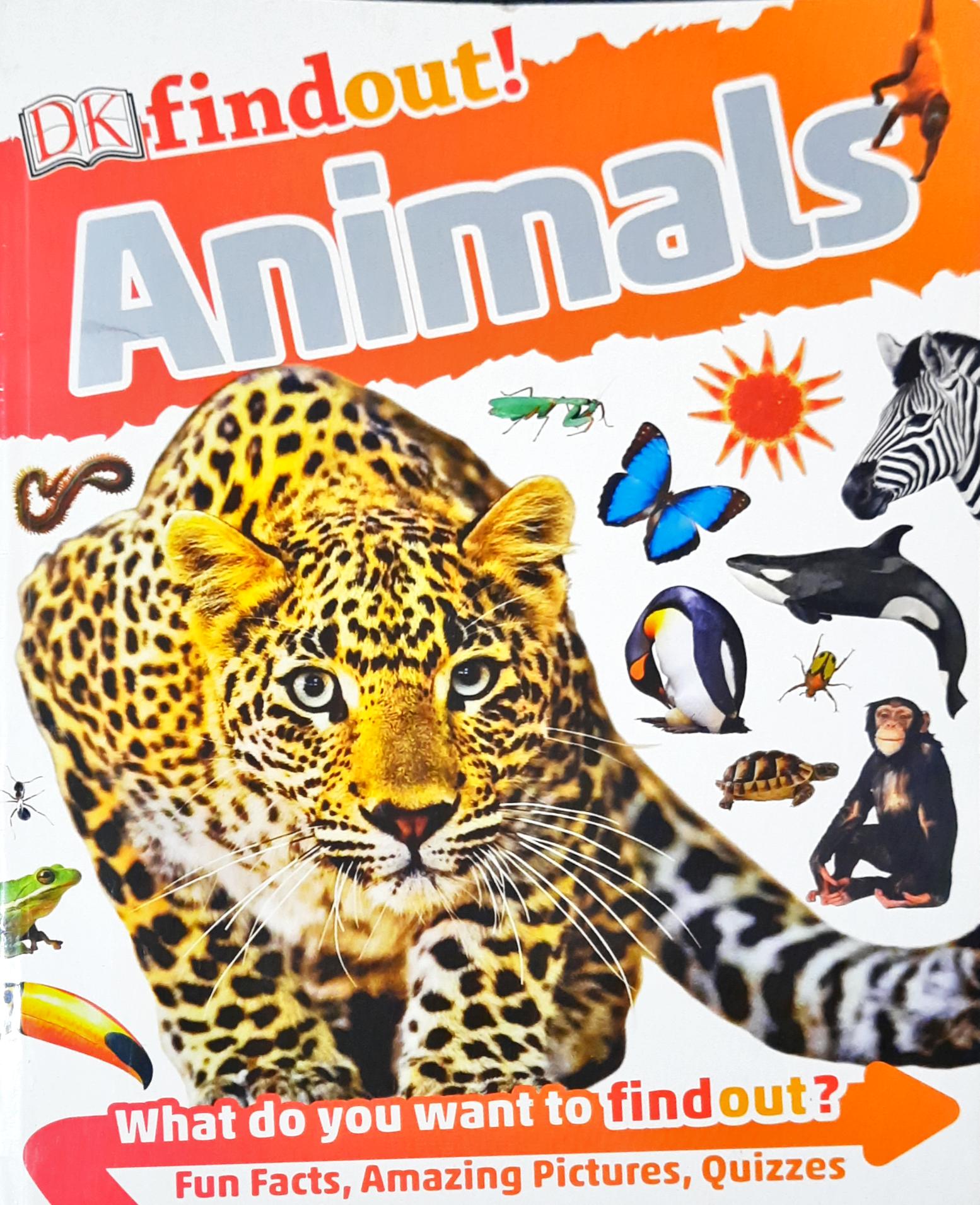 DK Findout Animals – Books and You