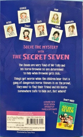 The Secret Seven 15 Fun For The Secret Seven – Books and You