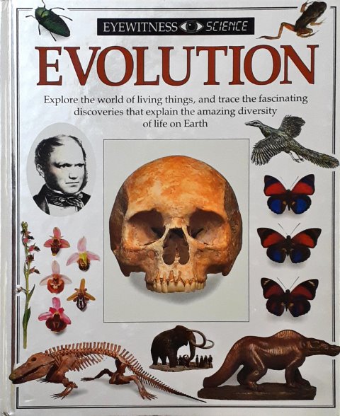 DK Eyewitness Science Evolution – Books and You