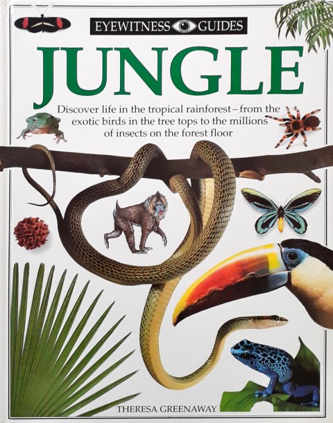 DK Eyewitness Guides Jungle – Books and You
