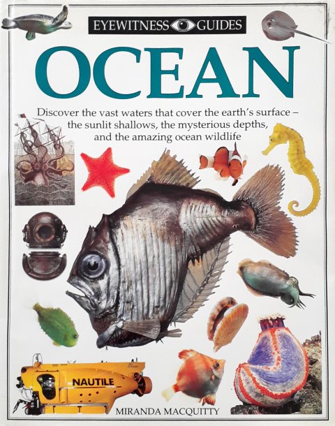 DK Eyewitness Guides Ocean – Books and You