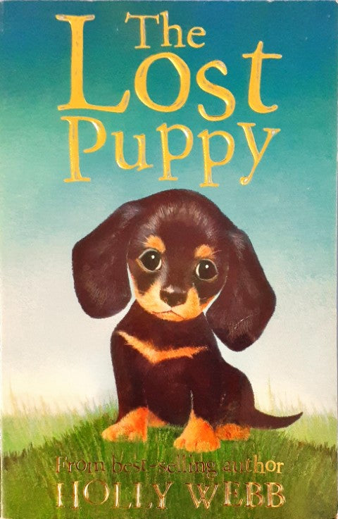 The Lost Puppy (Animal Stories #20) – Books and You