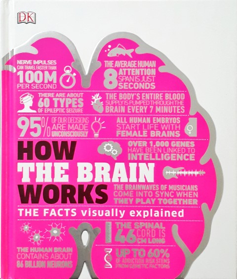 DK How The Brain Works The Facts Visually Explained – Books and You