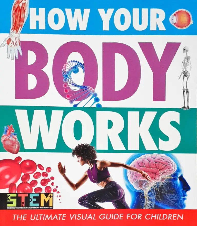 How Your Body Works : The Ultimate Visual Guide for Children – Books ...