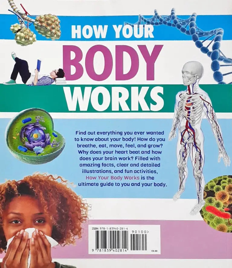 How Your Body Works : The Ultimate Visual Guide for Children – Books ...