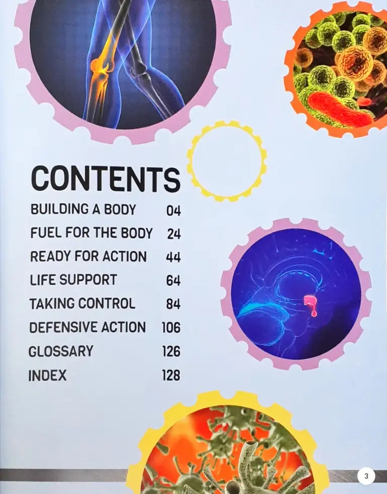How Your Body Works : The Ultimate Visual Guide for Children – Books ...