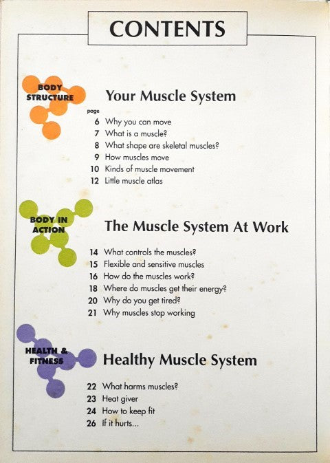 How My Body Works The Muscles – Books and You