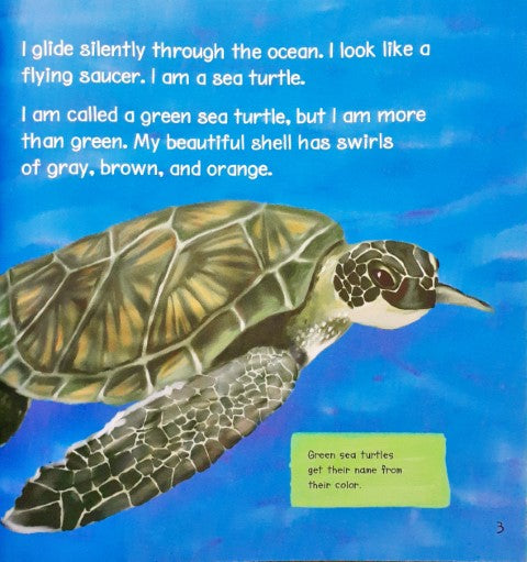 I Live In The Ocean I Am A Sea Turtle The Life Of A Green Sea Turtle ...