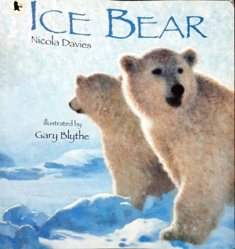 Ice Bear – Books and You