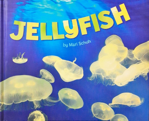 Sea Life Jellyfish – Books and You