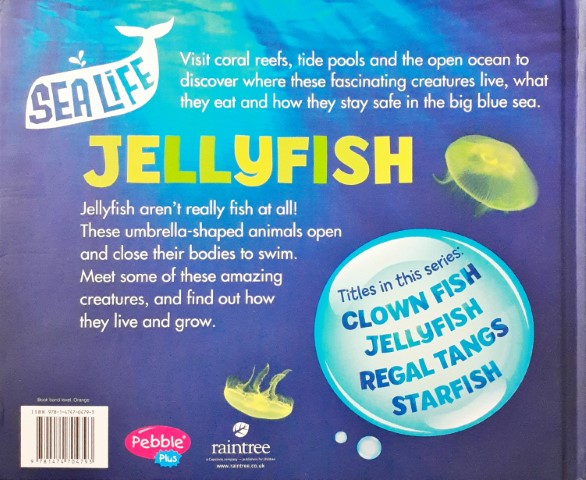 Sea Life Jellyfish – Books and You