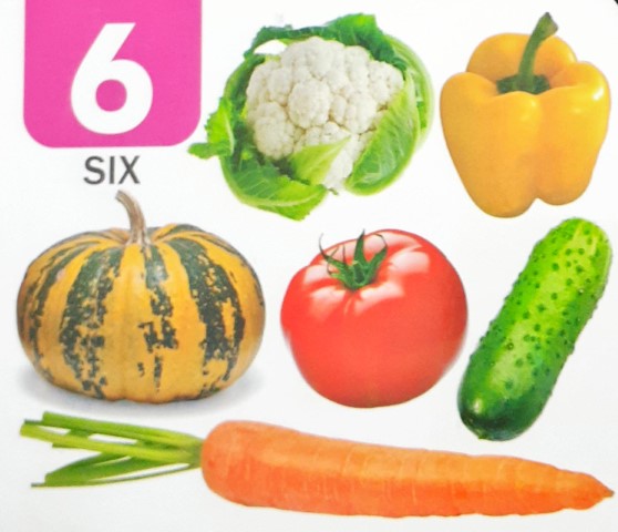 Kids Board Book Numbers – Books and You