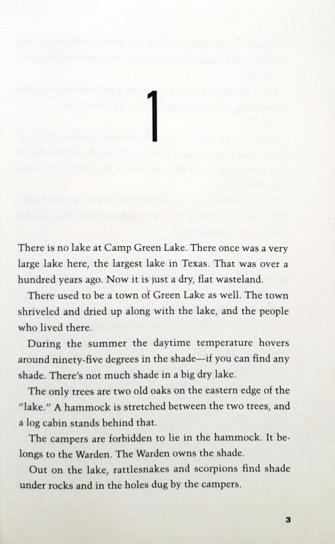 Holes – Books and You