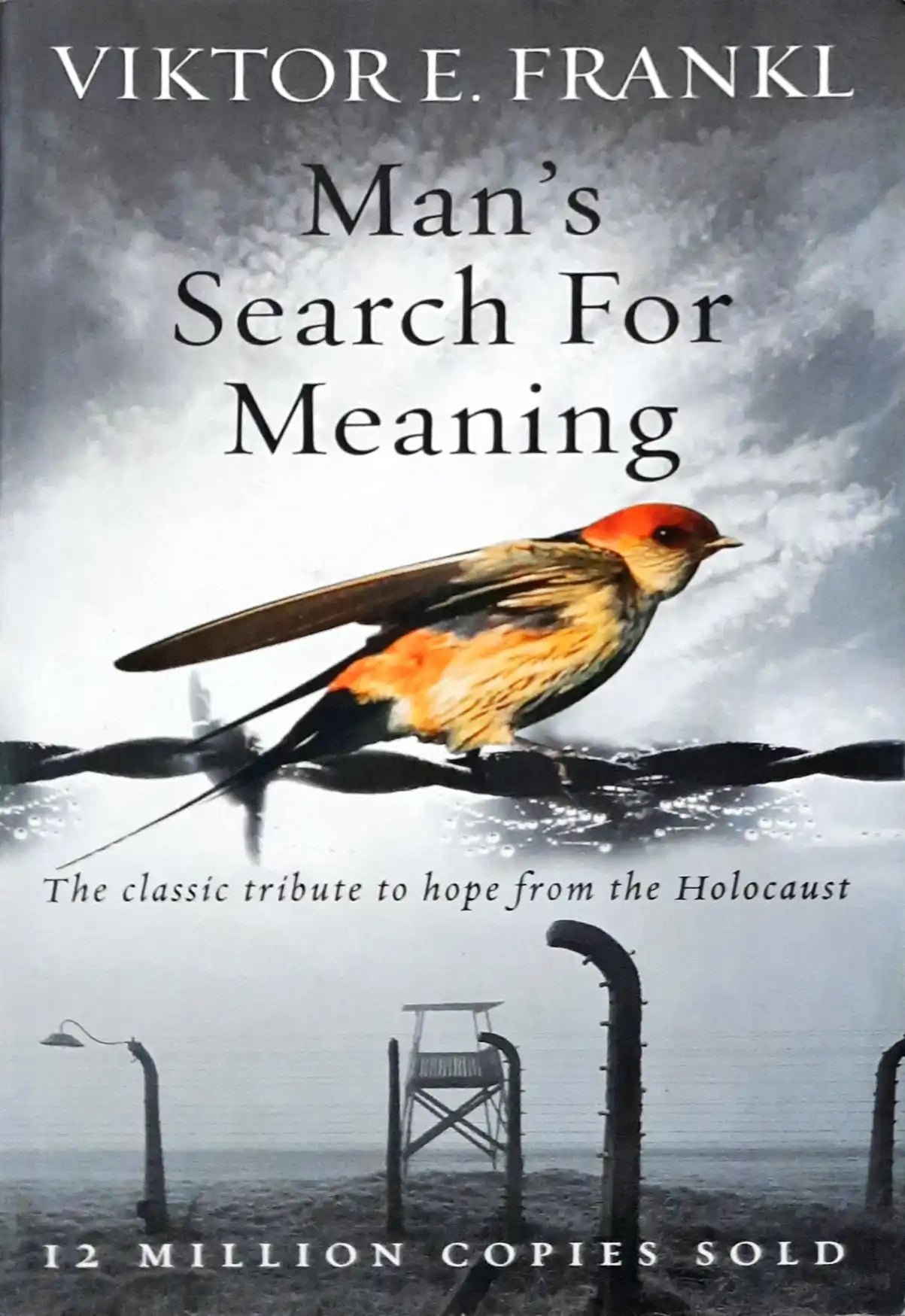 Man's Search for Meaning – Books and You